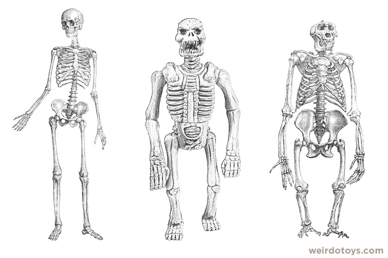 Primitive Zombie Species Discovered - Weirdo Toys - Weirdo Toys